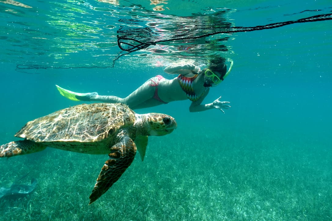 Tours – The Enclave on Placencia Caye